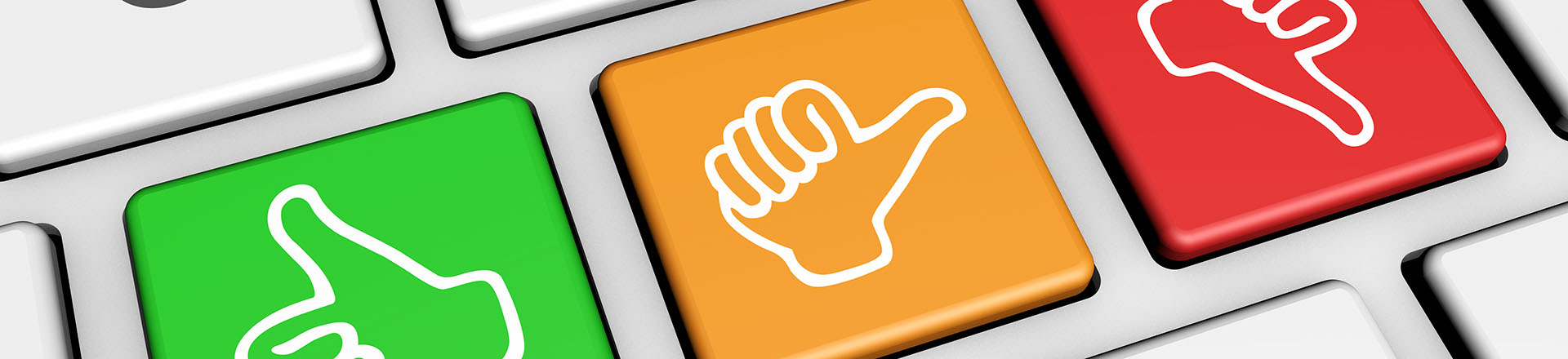 Online-Umfrage-Tools im Vergleich: kostenlos vs. kostenpflichtig - IONOS