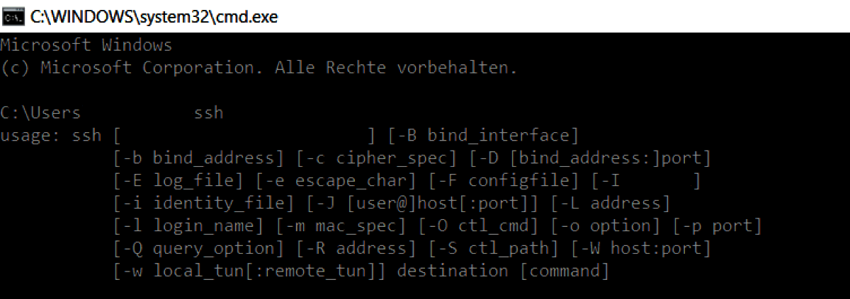 Windows 10 SSH aktivieren: Schritt für Schritt - IONOS